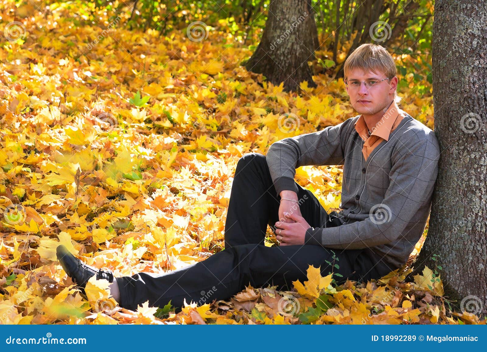 Young man in autumn forest stock image. Image of leaves - 18992289