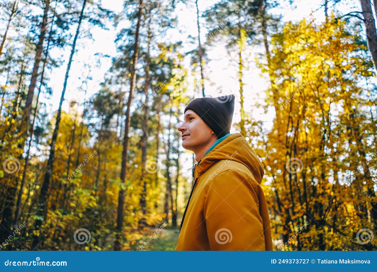 Young Man in Autumn Forest. Profile View Stock Image - Image of forest ...