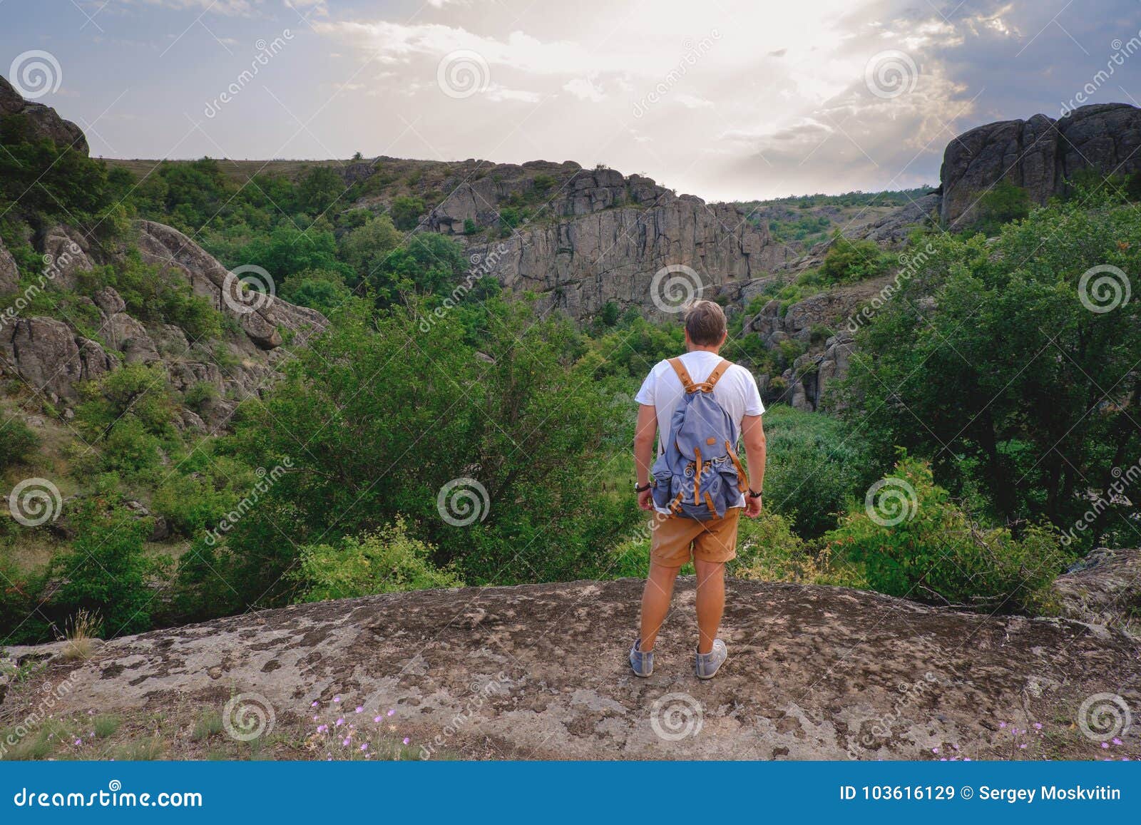 Young Man with Beard Standing on the Precipice of Canyon Stock Image ... Young Man with Beard Standing on the Precipice of Canyon Stock Image ...
