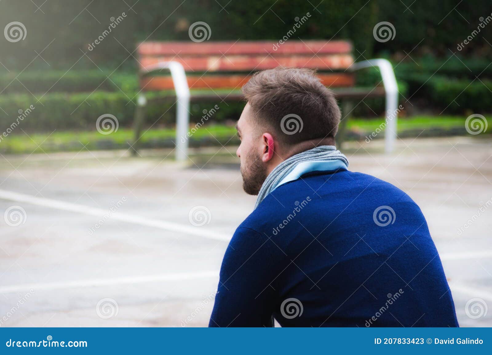 Young Man from Behind Sitting in Park Looking into Infinity Stock Image ...