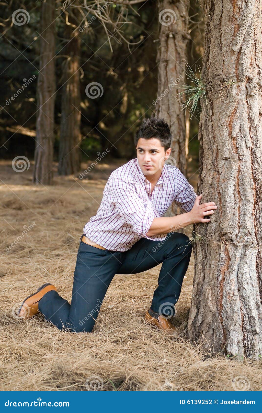 Young man behind a tree stock photo. Image of autum, jeans - 6139252