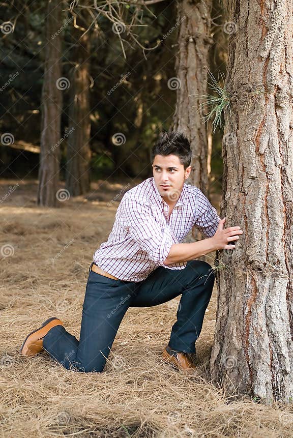 Young man behind a tree stock photo. Image of autum, jeans - 6139252