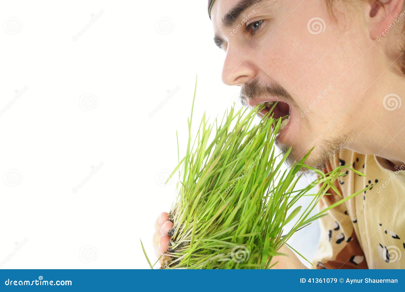 Young Man Biting Green Grass Stock Image - Image of camera, healthy ...