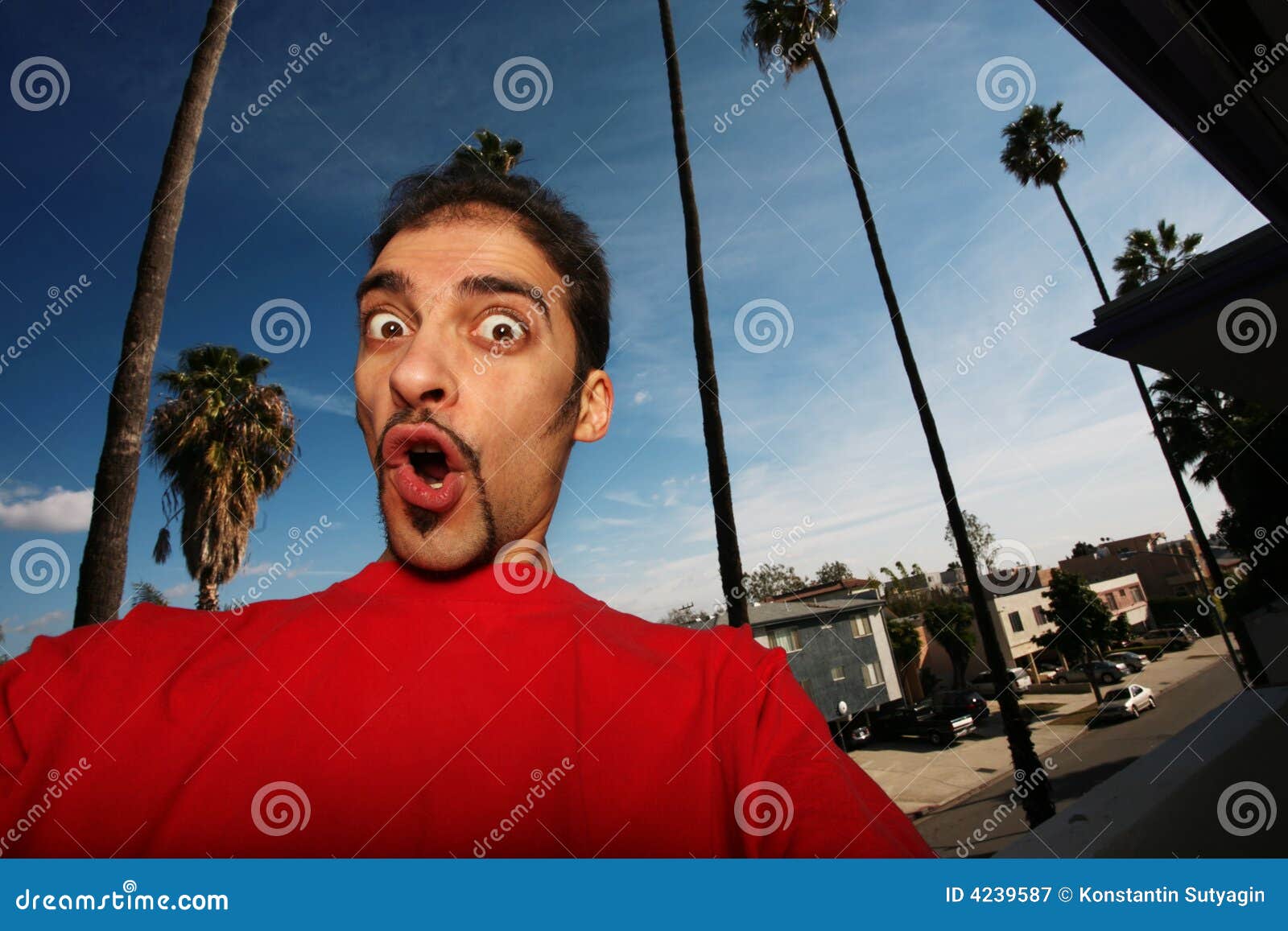 Distortion Of The Proportions Of The Face. Stock Image | CartoonDealer ...