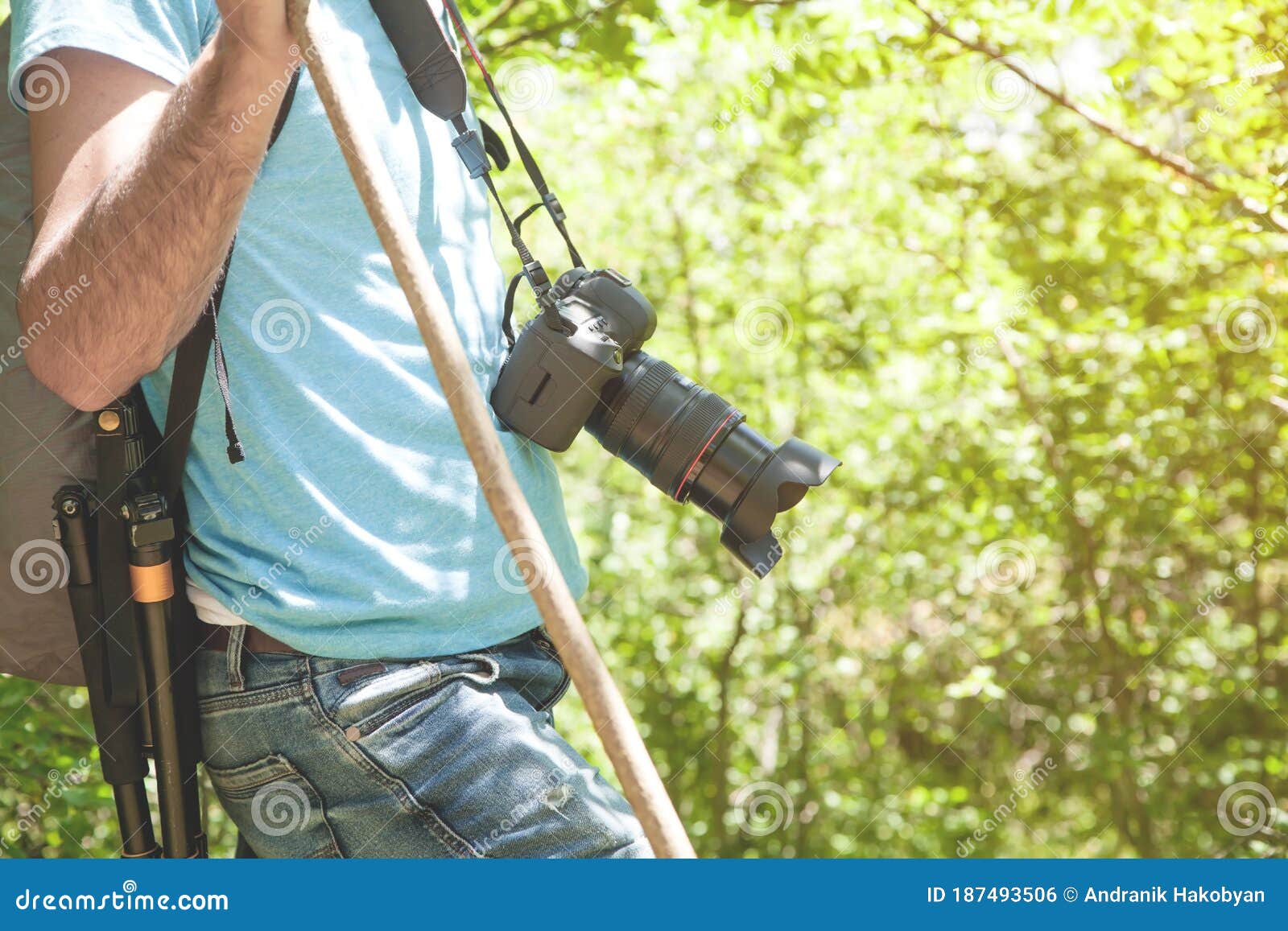 Young Man with Camera in Forest Stock Photo - Image of dslr, outdoor ...