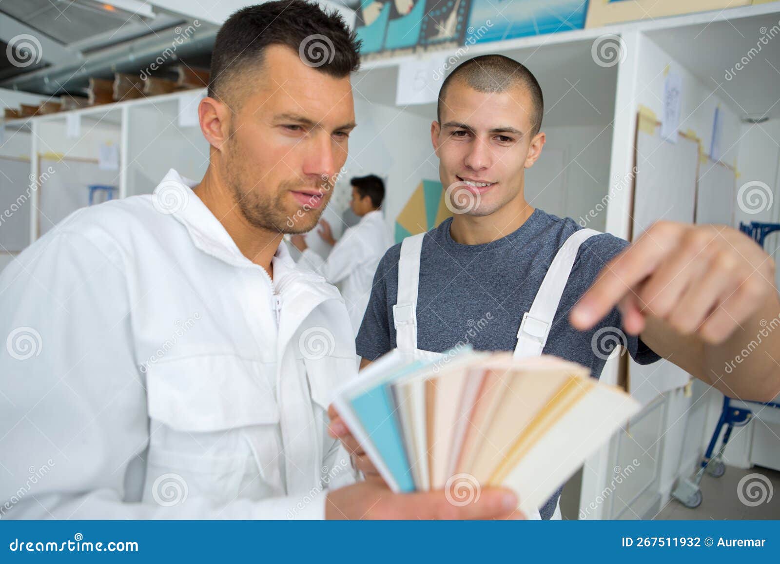 Young Man Choosing Color Swatch Stock Photo - Image of renovation ...