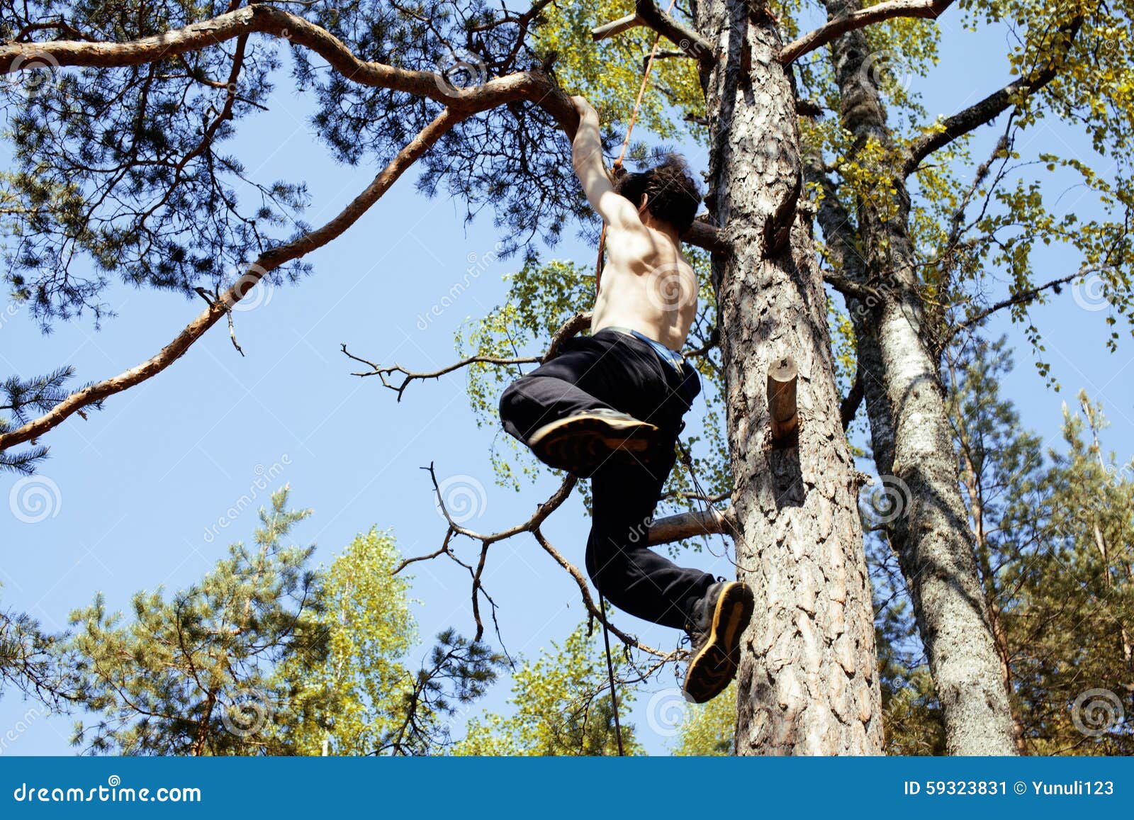 Young Man Climbing on Tree in Forest Close Up Stock Image - Image of ...