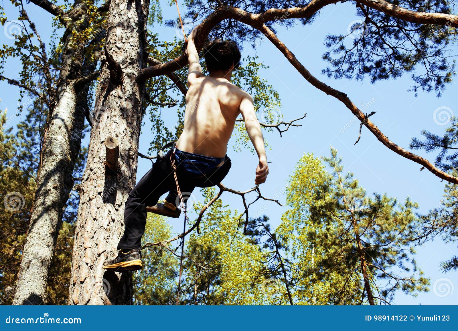 Young Man Climbing on Tree with Rope Stock Photo - Image of danger ...
