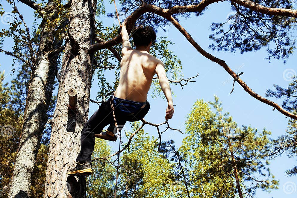 Young Man Climbing on Tree with Rope Stock Photo - Image of danger ...