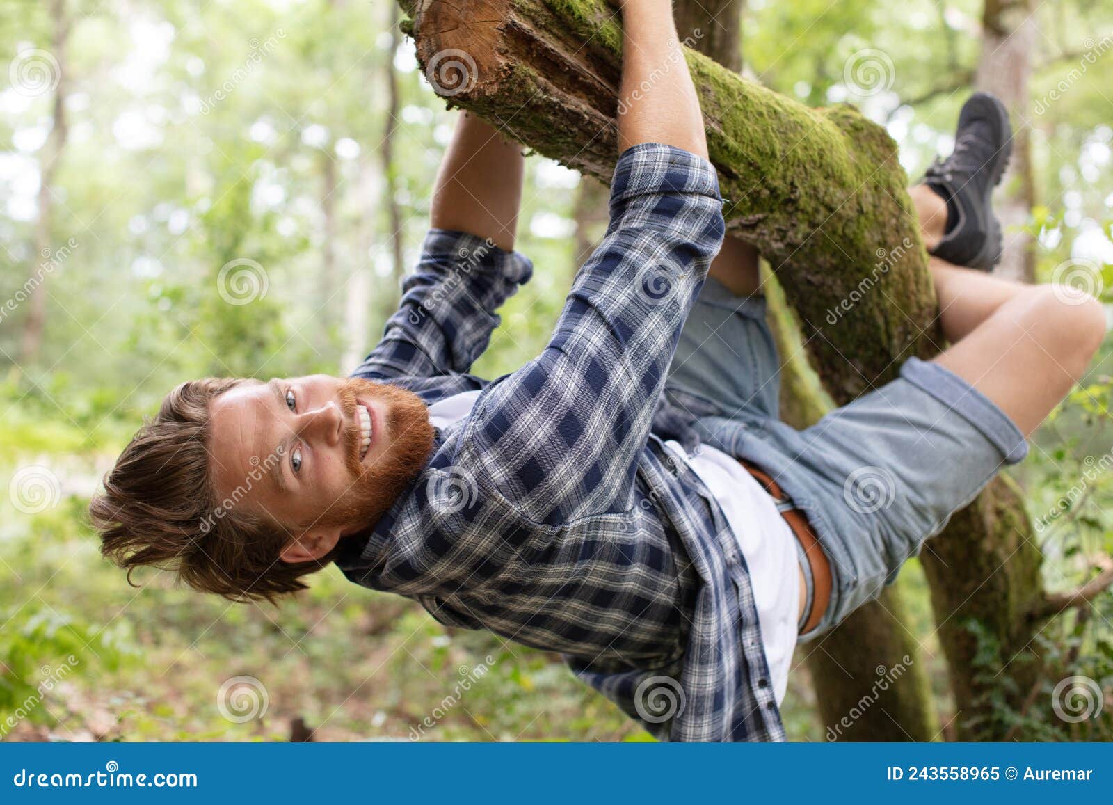 Young man climbing tree stock image. Image of professional - 243558965