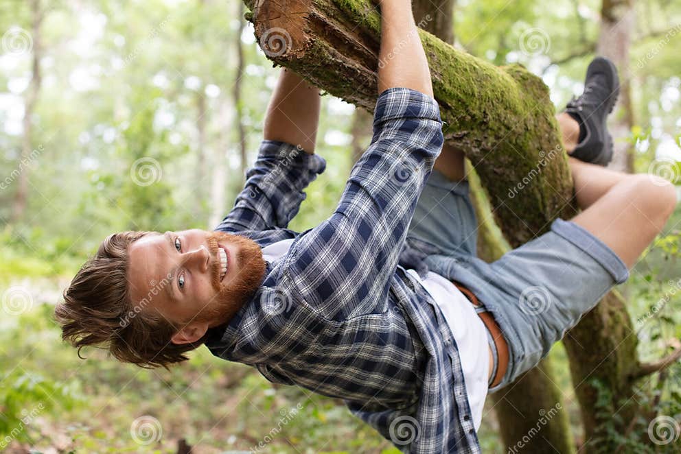 Young man climbing tree stock image. Image of professional - 243558965