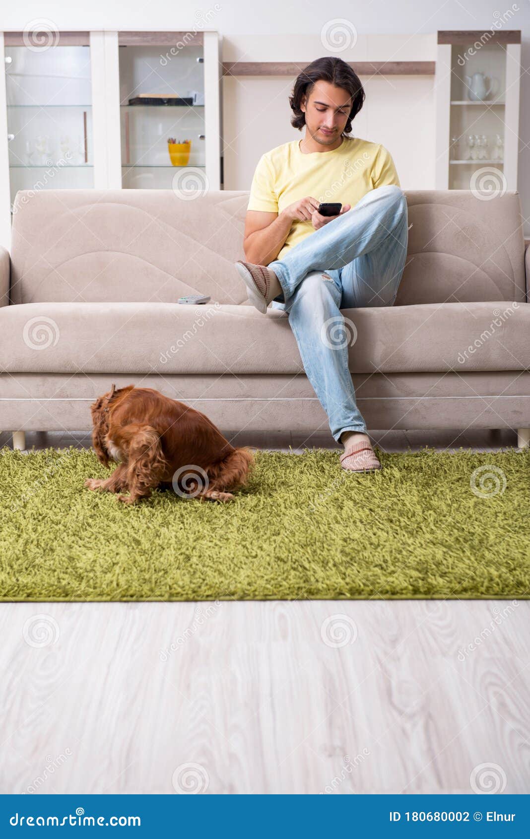 Young Man with Cocker Spaniel Dog Stock Photo - Image of message ...