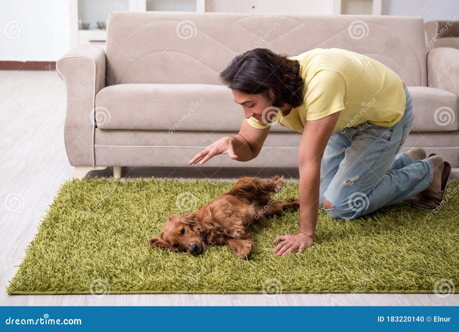 Young Man with Cocker Spaniel Dog Stock Photo - Image of breed, funny ...