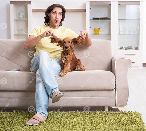 Young Man with Cocker Spaniel Dog Stock Image - Image of house, family ...