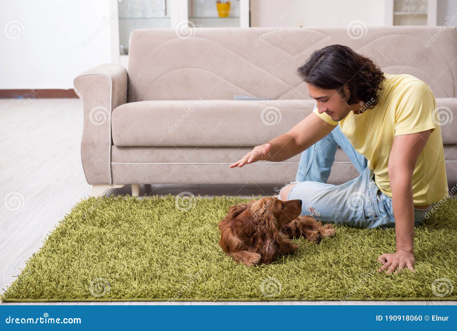 Young Man with Cocker Spaniel Dog Stock Photo - Image of alone ...