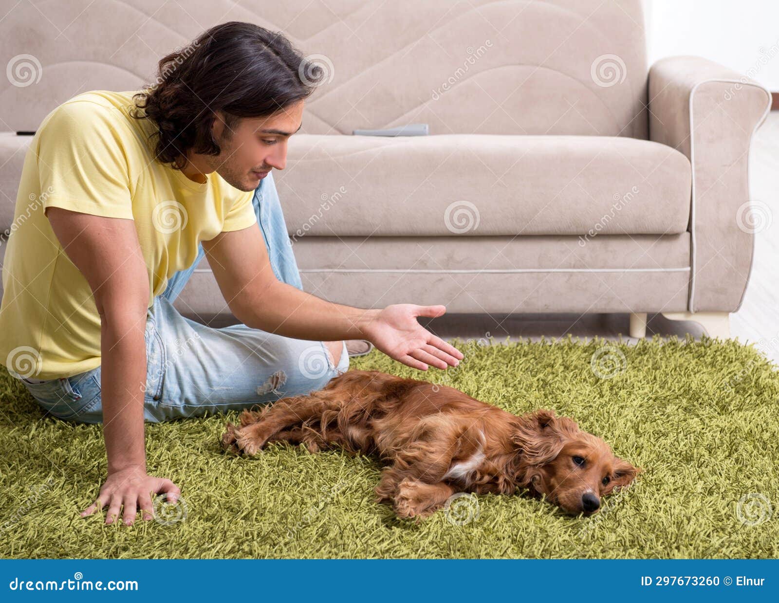 Young Man with Cocker Spaniel Dog Stock Photo - Image of mammal, happy ...