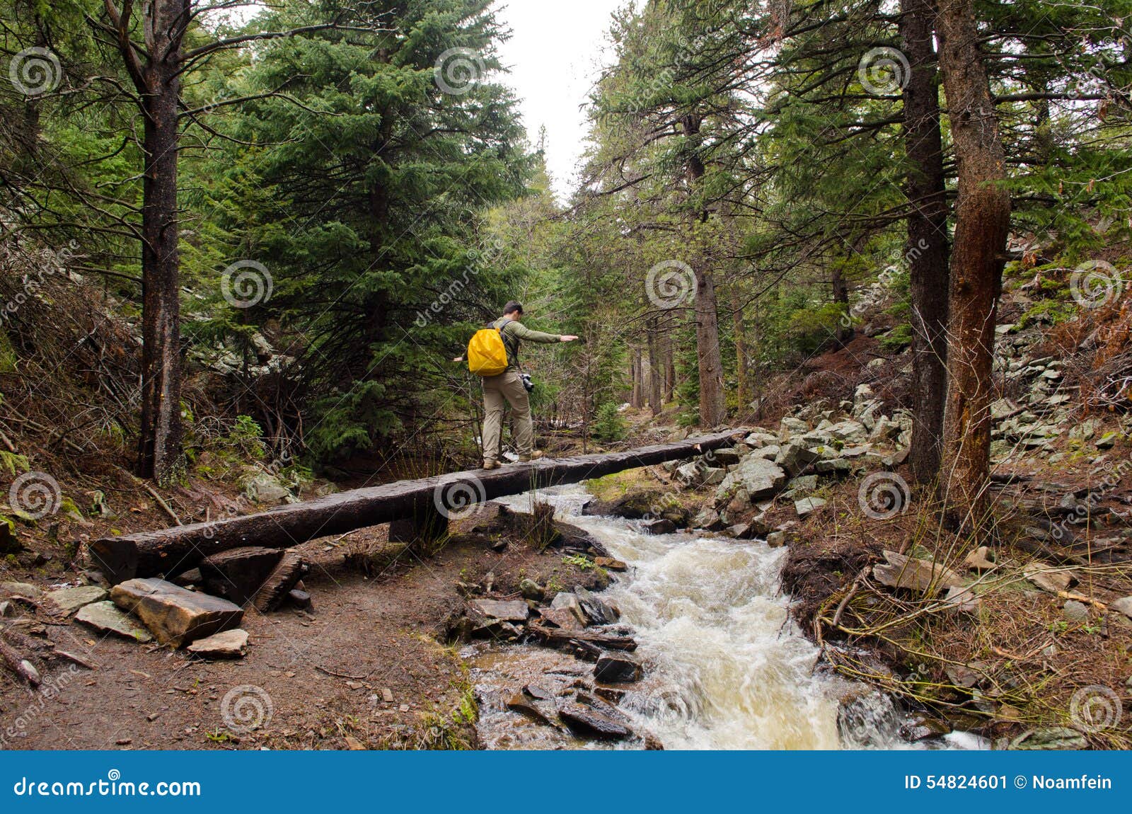 Young Man Crossing a Stream Stock Image - Image of young, bridge: 54824601