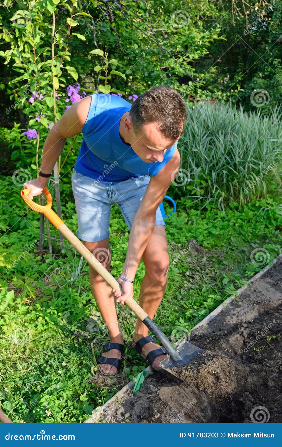 A Young Man Digging a Flower Bed on the Plot Stock Image - Image of ...
