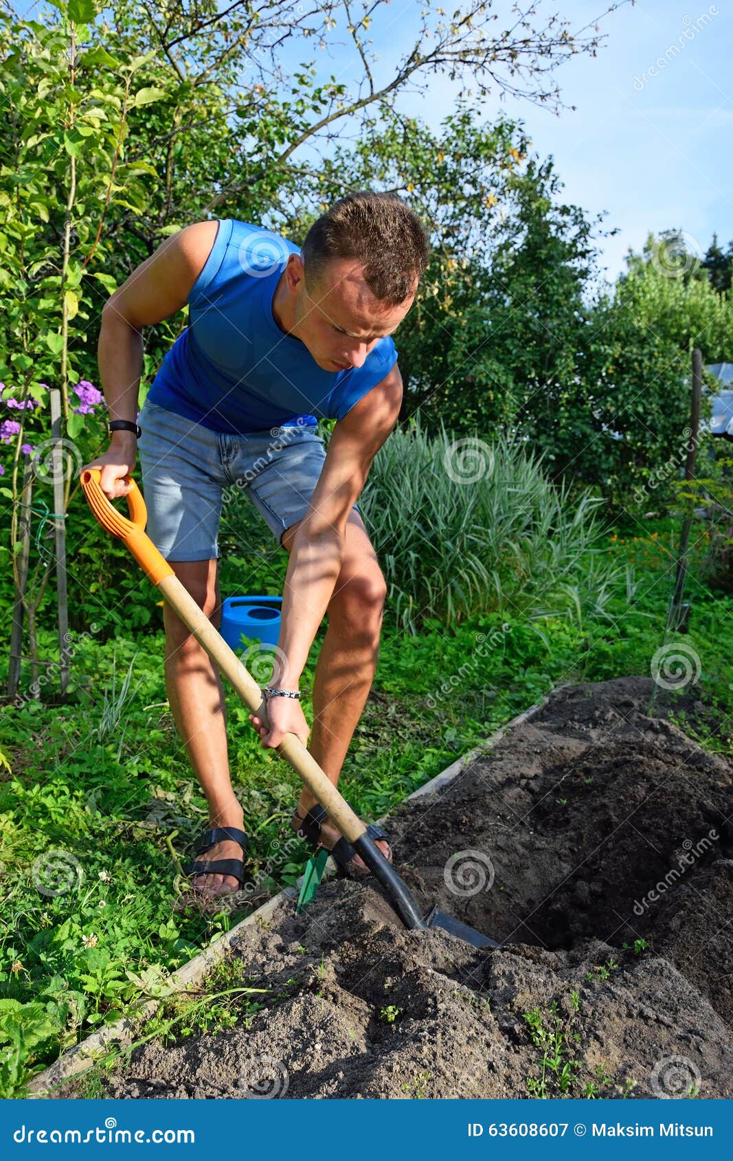 A Young Man Digging a Flower Bed on the Plot on a Sunny Day Stock Image ...