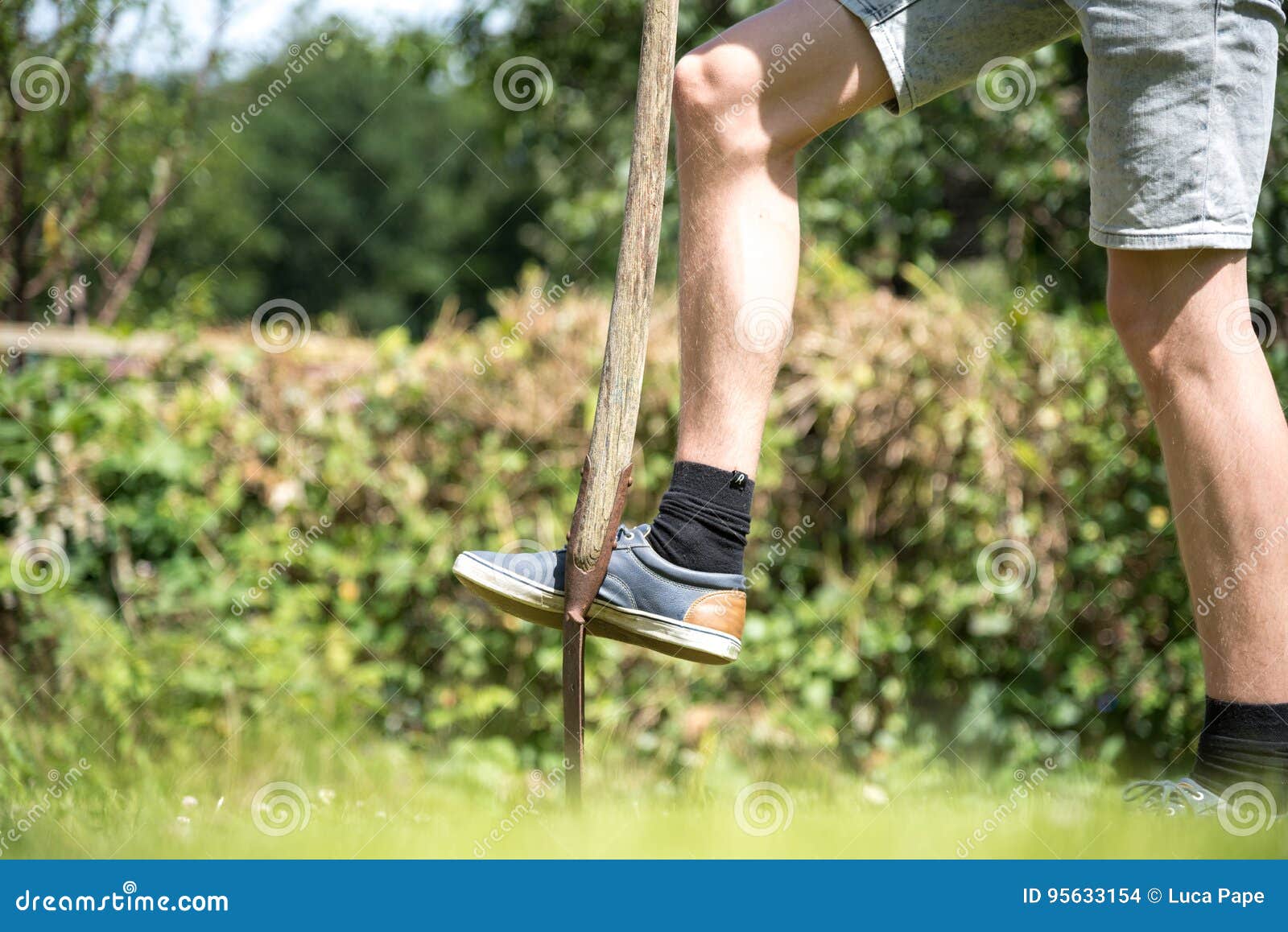 Young Man Digging Hole in Garden with a Spade Stock Photo - Image of ...