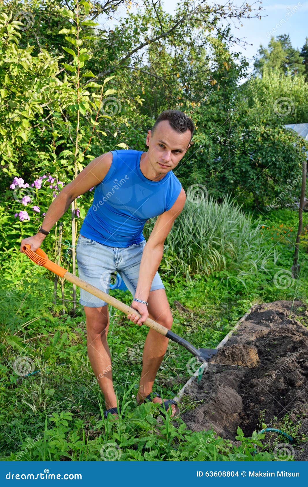 A Young Man Digging on the Plot in the Summer on a Sunny Day Stock ...