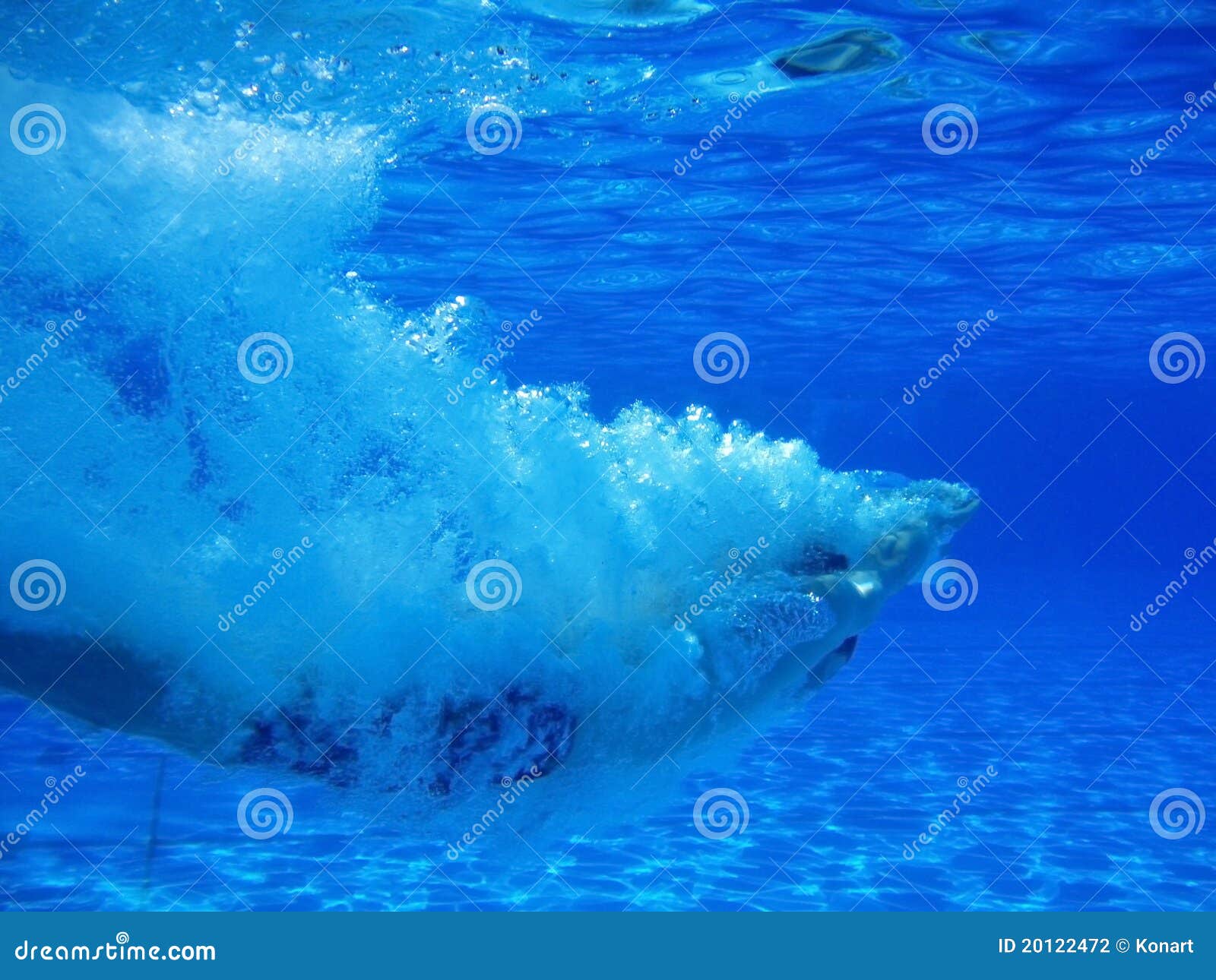 Young Man Diving Head First into Swimming Pool Stock Photo - Image of ...