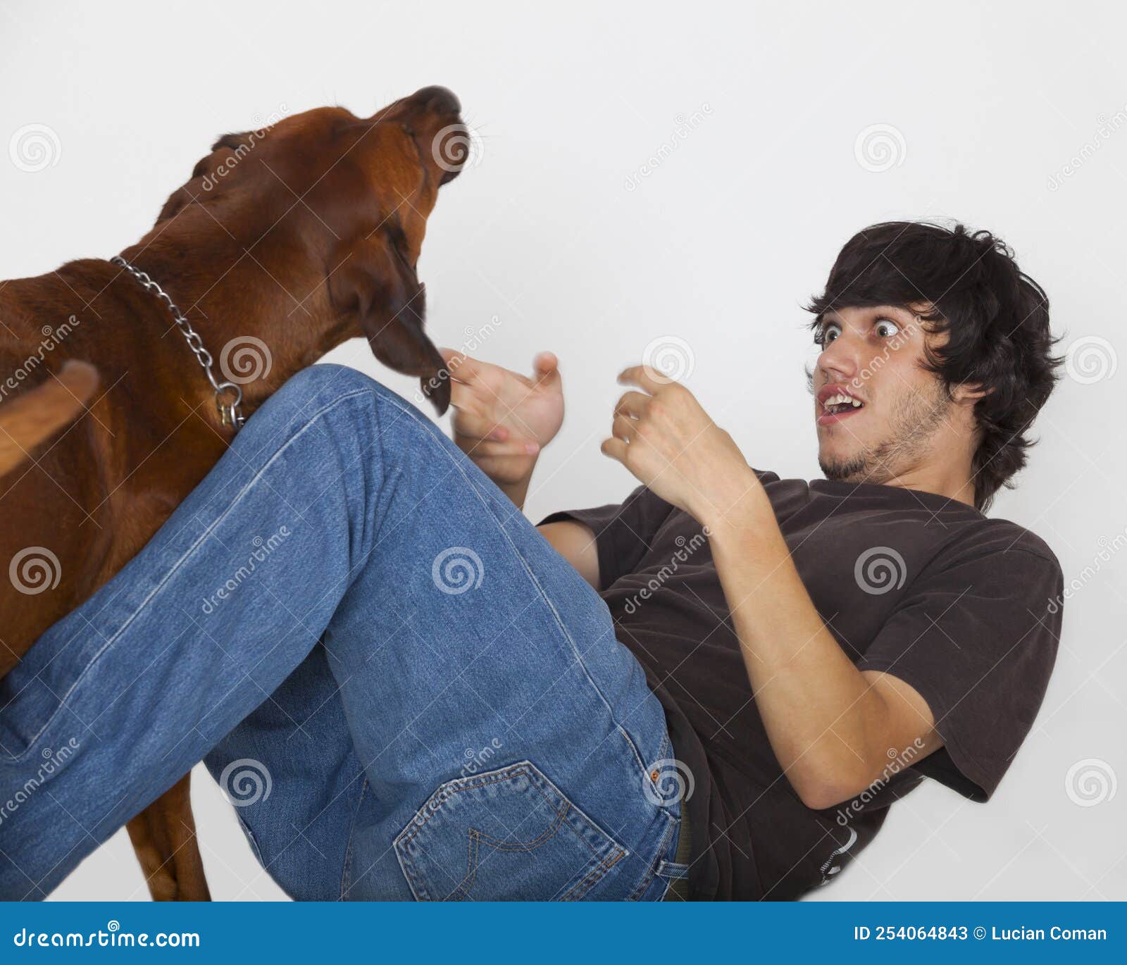 Young man with dog stock image. Image of landscape, gesturing - 254064843