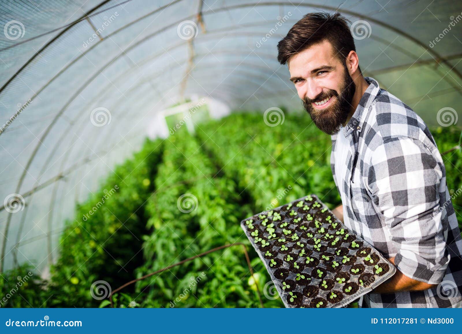 Young Man Doing Plant Work in Hothouse Stock Image - Image of ...