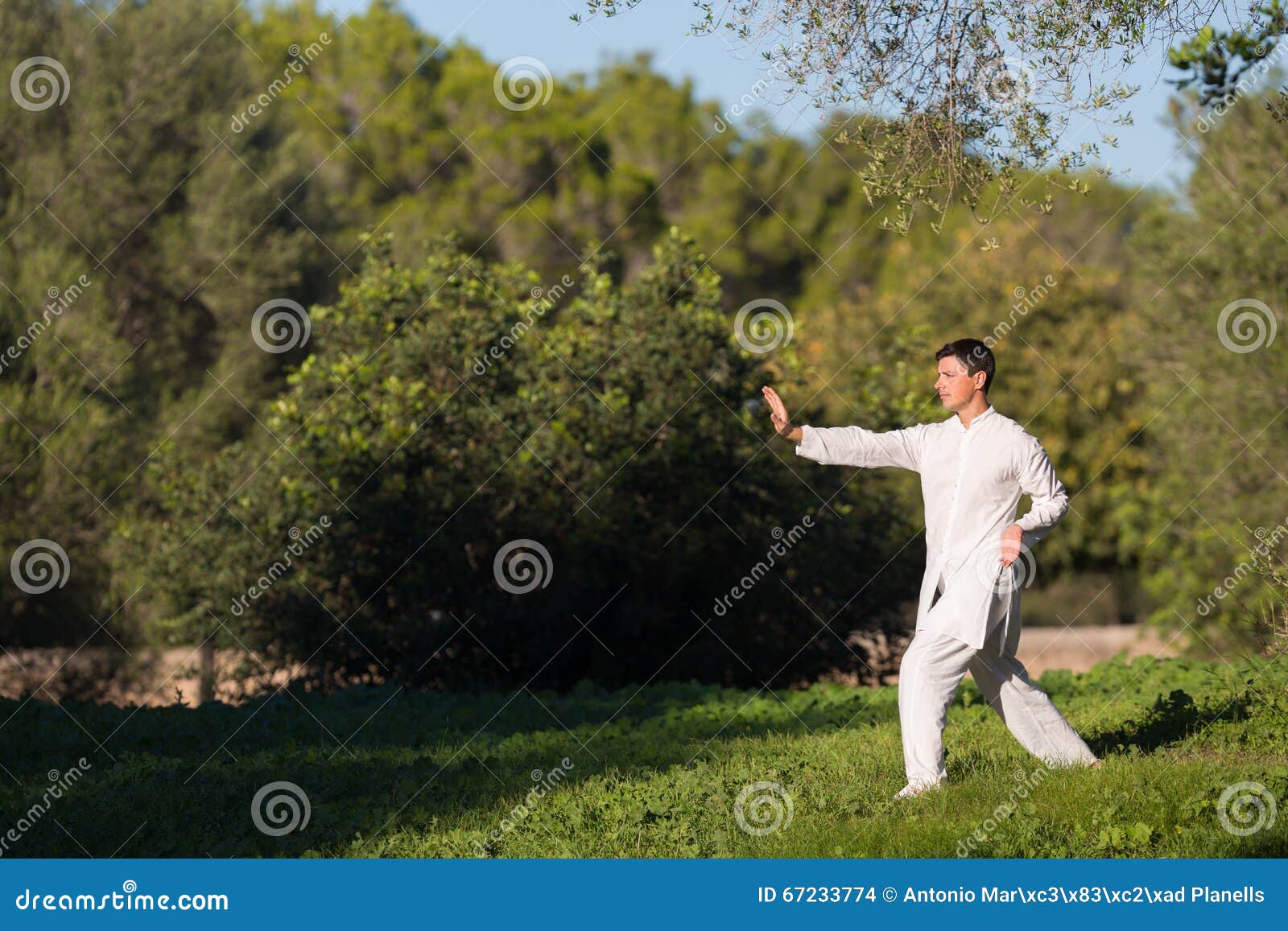Young man doing Tai Chi stock photo. Image of lifestyle - 67233774