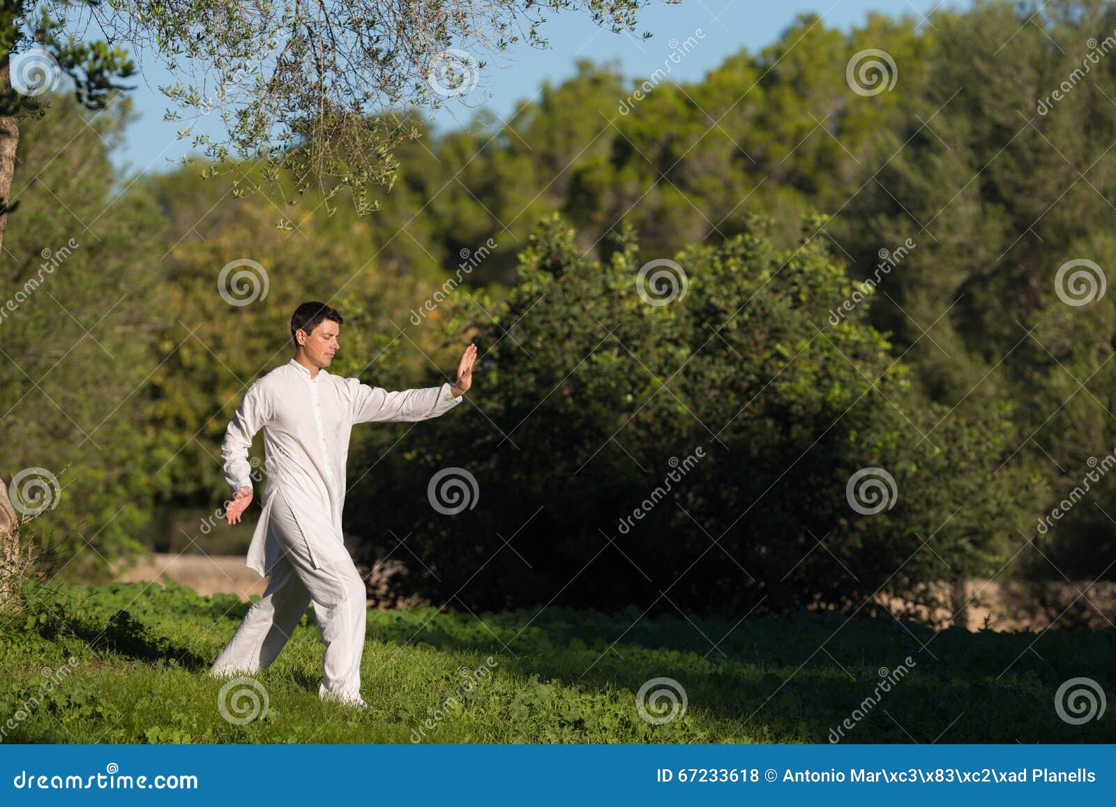 Young Man Doing Tai Chi in the Park Stock Photo - Image of ...