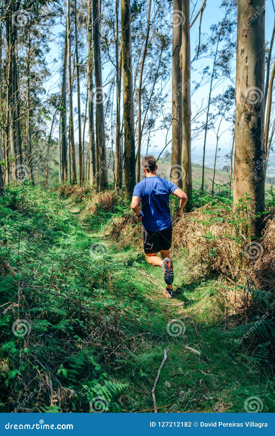 Young man doing trail stock photo. Image of path, effort - 127212182