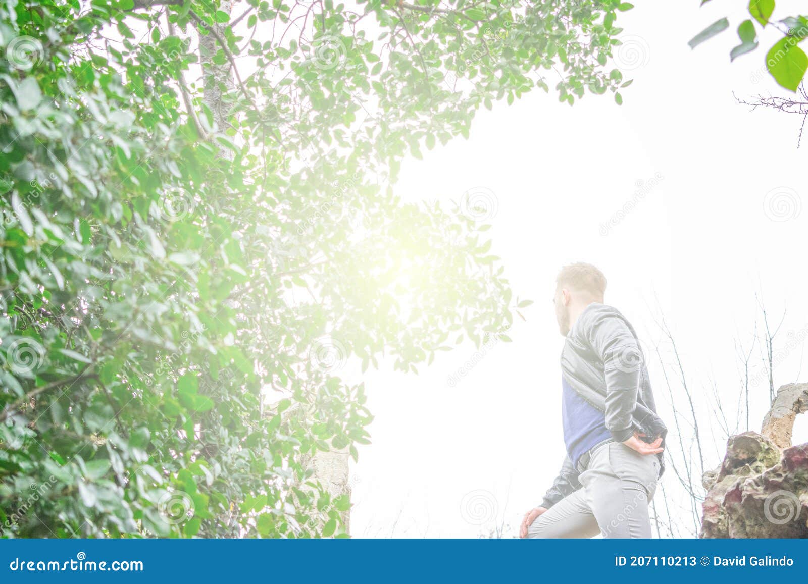 Young Man Dressed in Fashion Looking into Infinity between Trees Stock ...