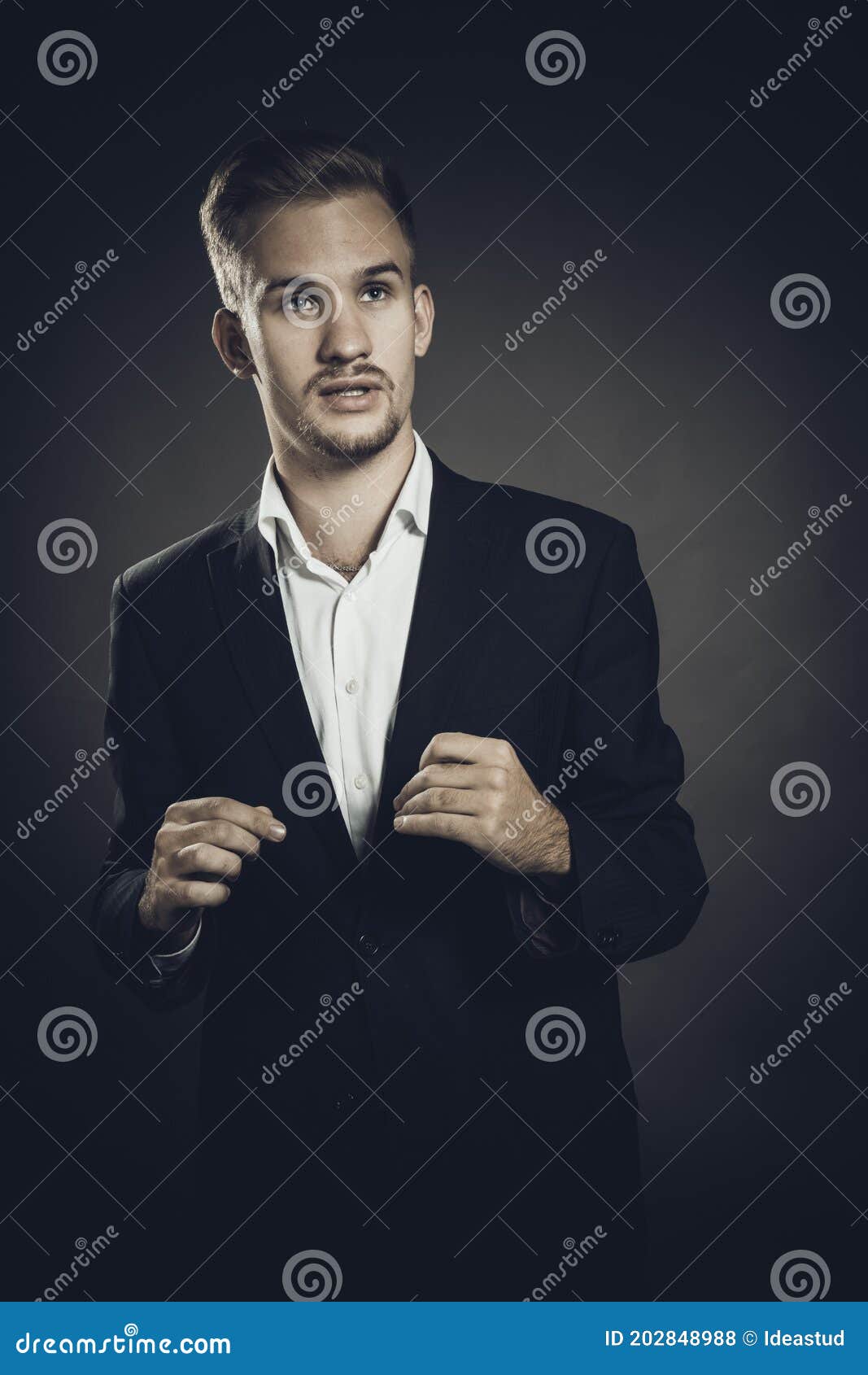 Young Man Dressed in Suit Studio Portrait Stock Photo - Image of ...