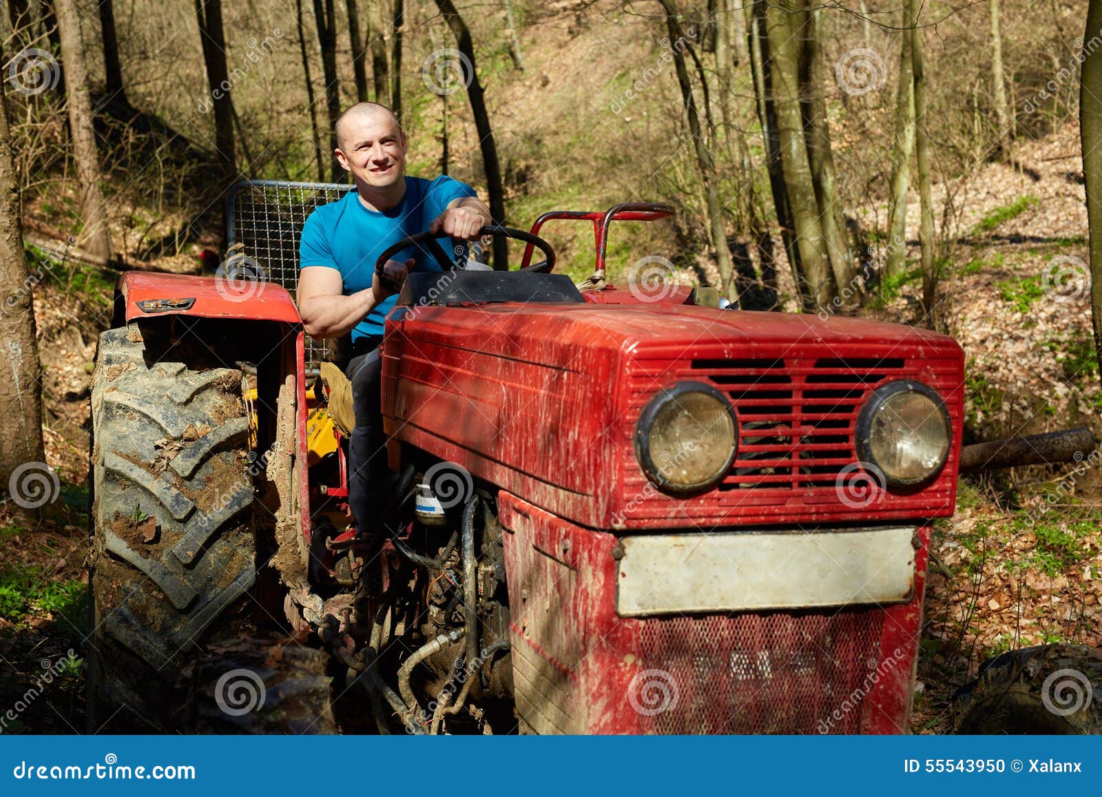 Young Man Driving a Tractor in a Forest Stock Photo - Image of industry ...