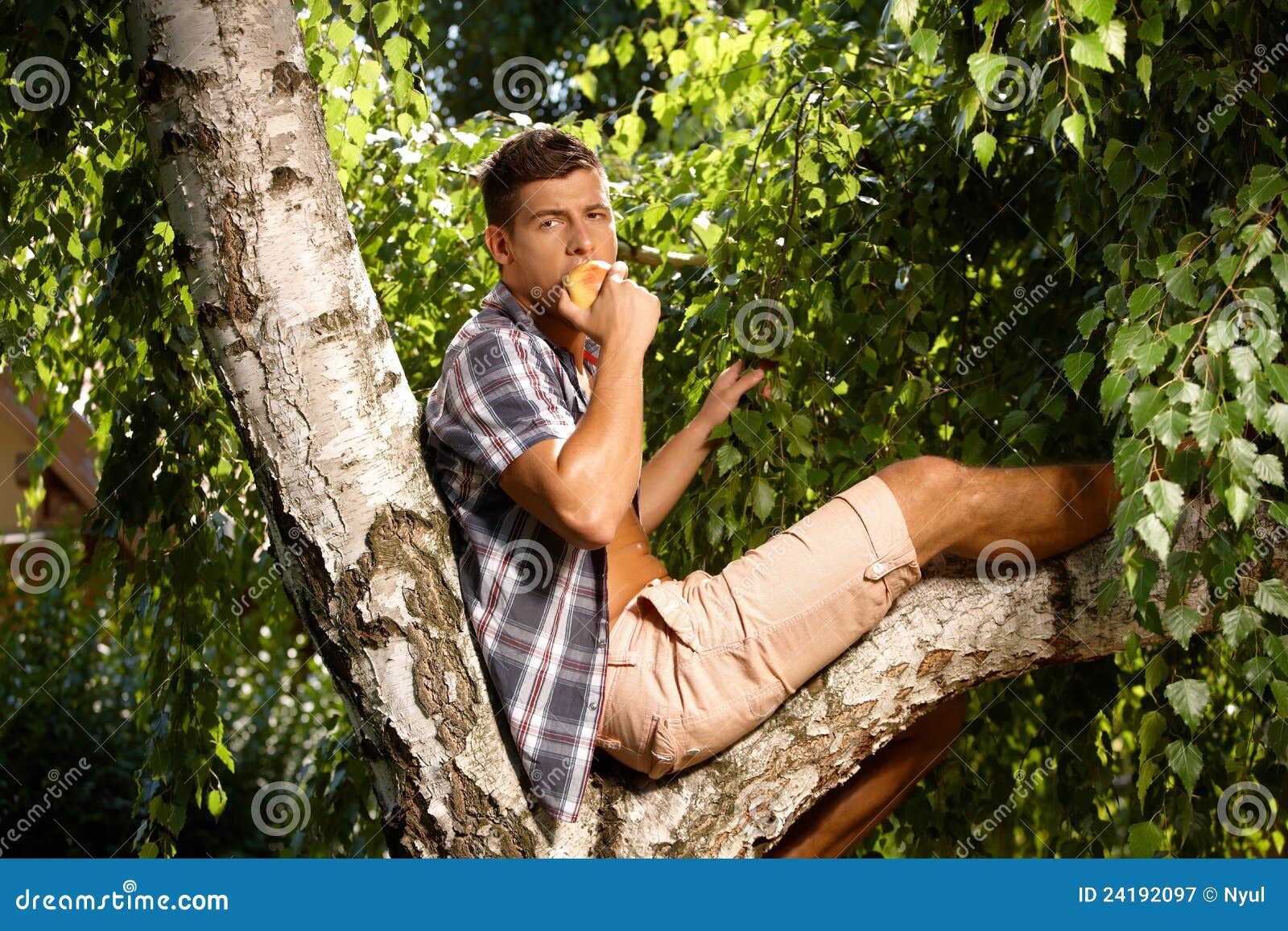Young Man Eating Apple on Tree at Summer Stock Image - Image of ...