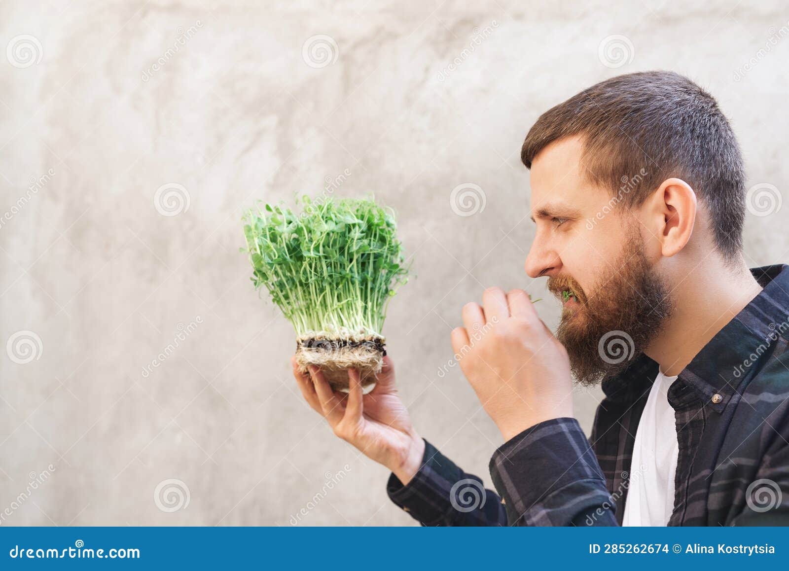 Young Man Eats Pea Microgreens Stock Photo - Image of concrete ...