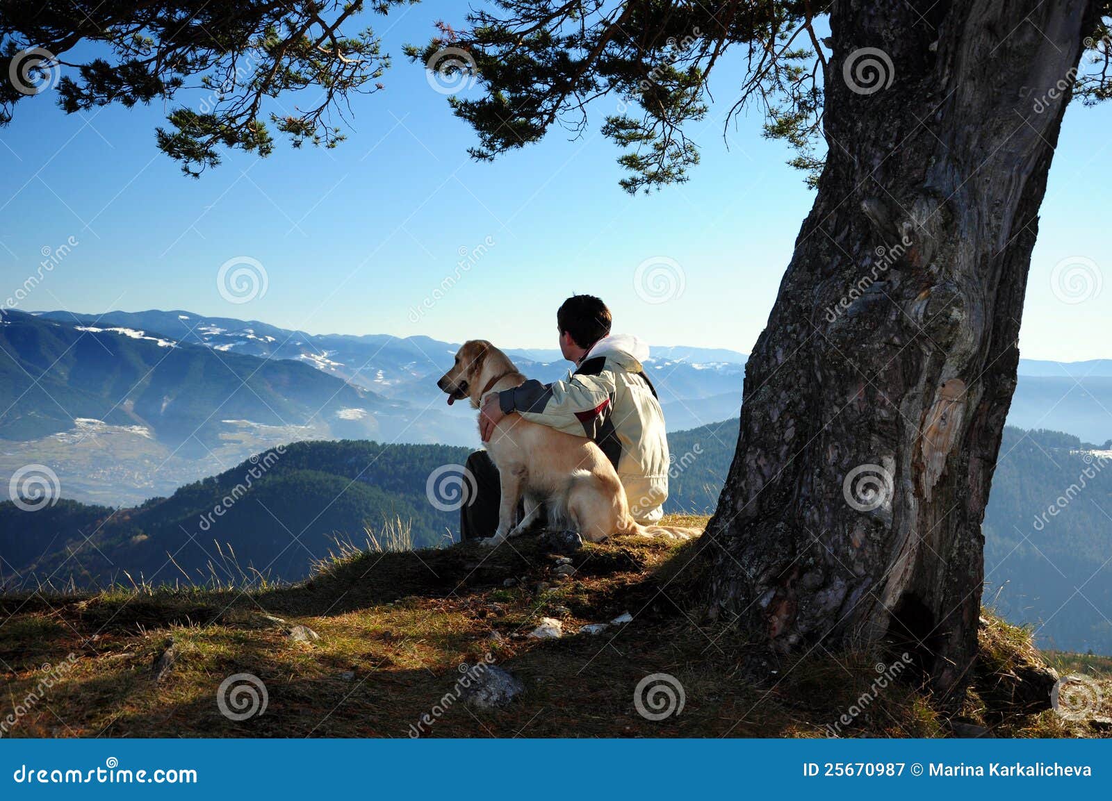 Young Man Enjoying Mountain View with His Dog Stock Image - Image of ...