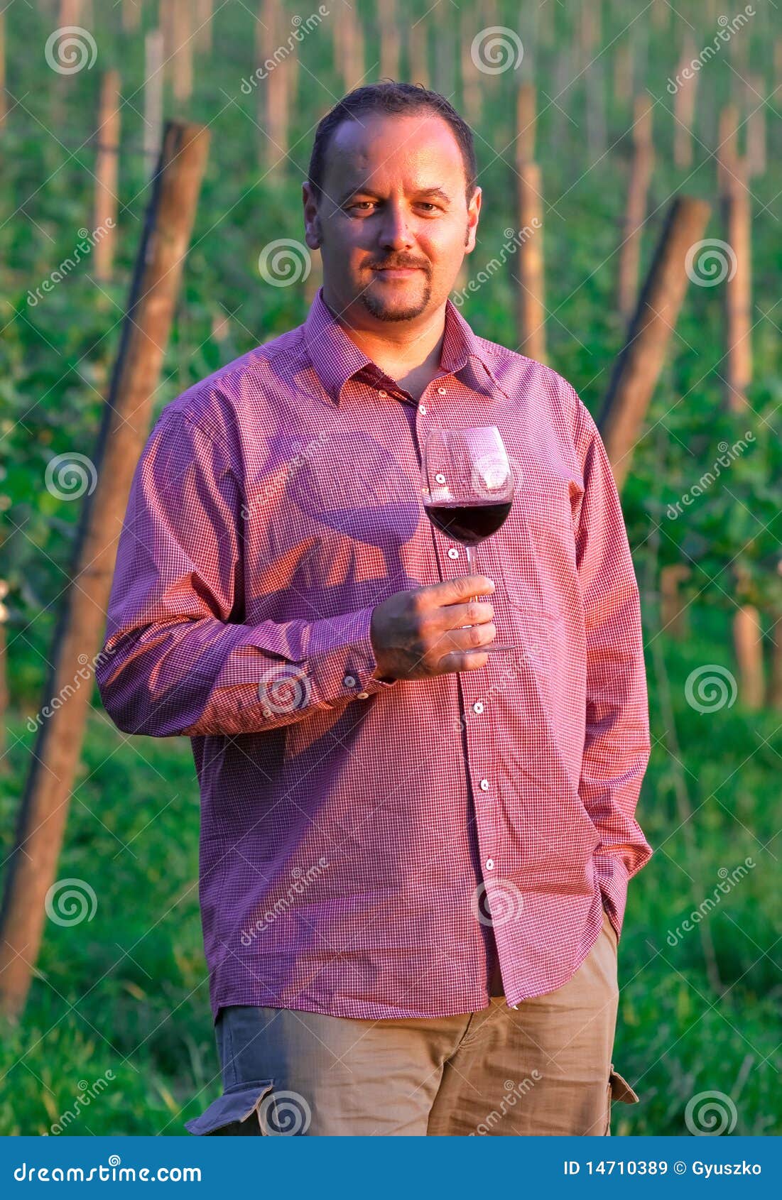 Young Man Enjoying Red Wine Stock Image - Image of adult, taster: 14710389
