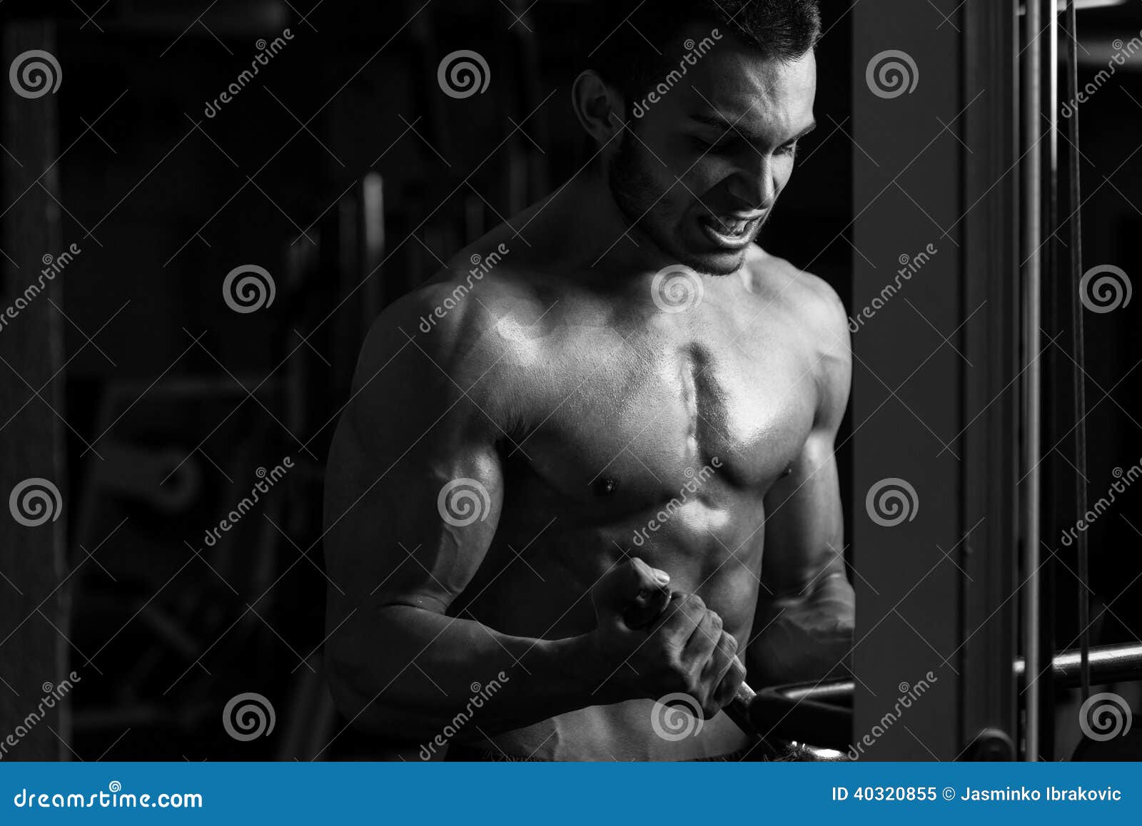 Young Man Exercising Biceps in a Gym Stock Image - Image of muscle ...