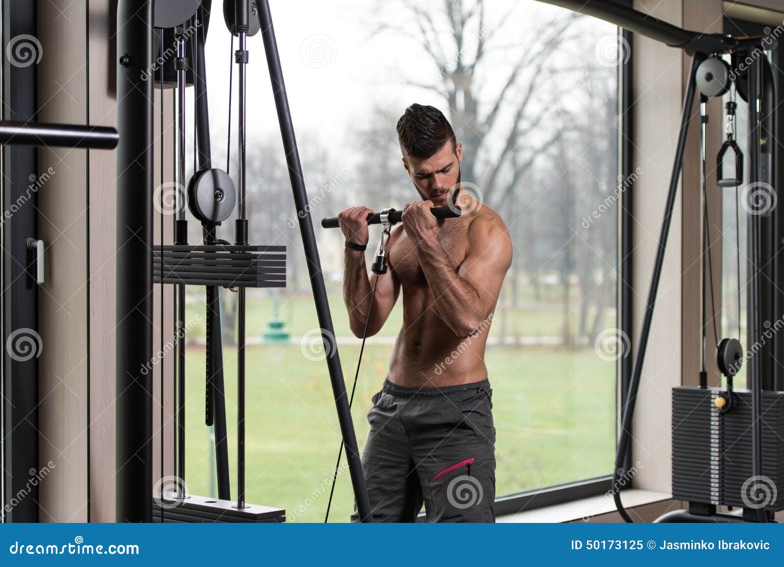 Young Man Exercising Biceps on Machine Stock Image - Image of hairy ...