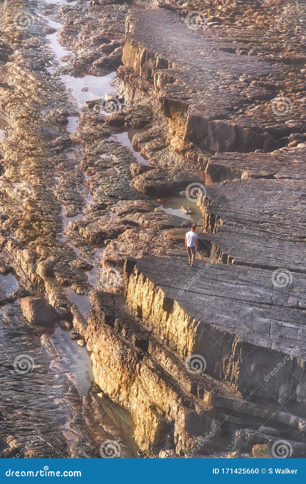 Young Man Explores Sandstone Coastline. Editorial Image - Image of ...