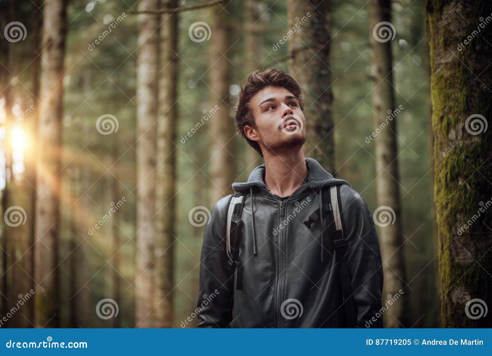 Young Man Exploring a Forest Stock Image - Image of healthy, forest ...