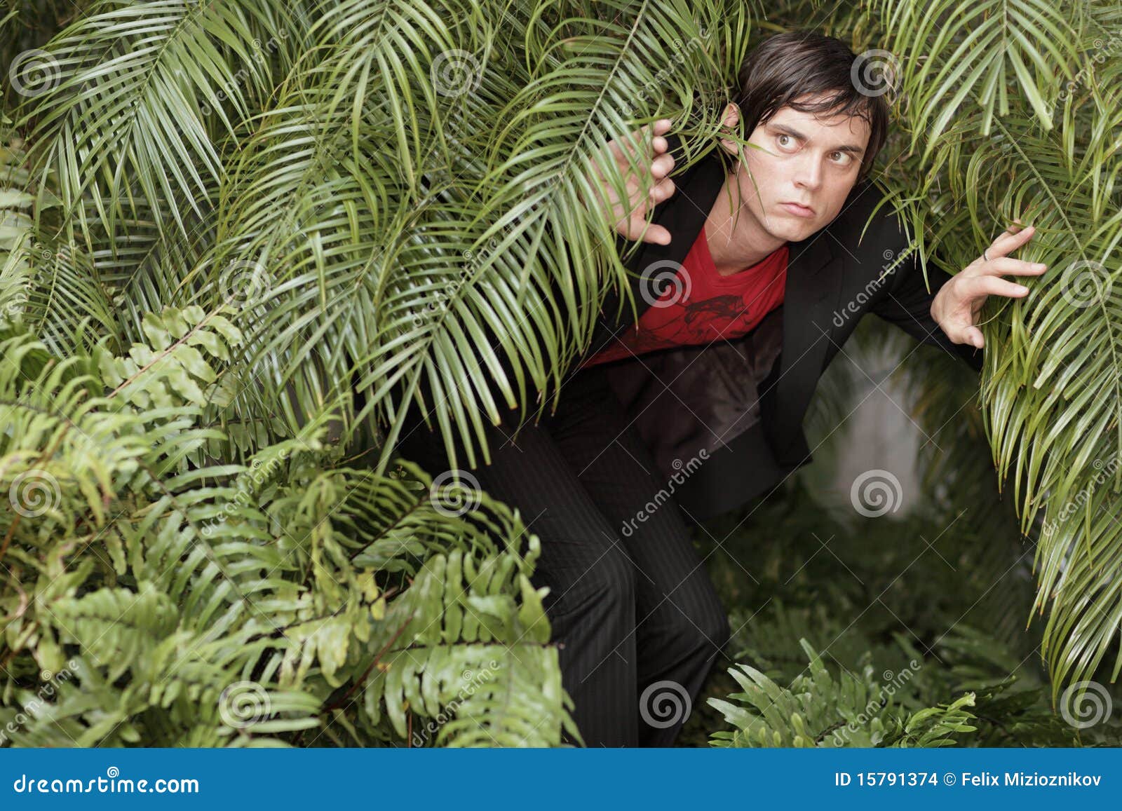 Young man exploring nature stock photo. Image of exploring - 15791374