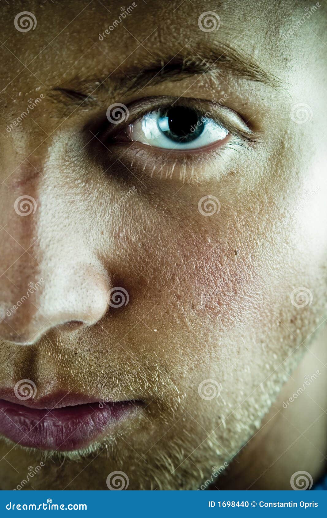 Young man face and eye stock photo. Image of honest, adult - 1698440