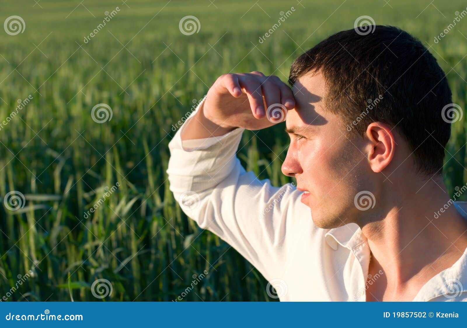Young man in field stock photo. Image of search, sunny - 19857502