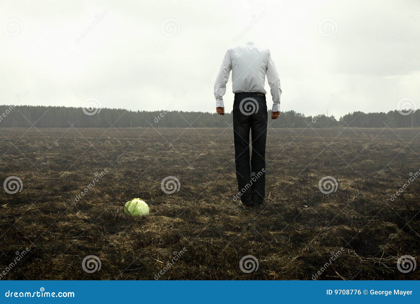 Young man in field stock photo. Image of field, cabbage - 9708776
