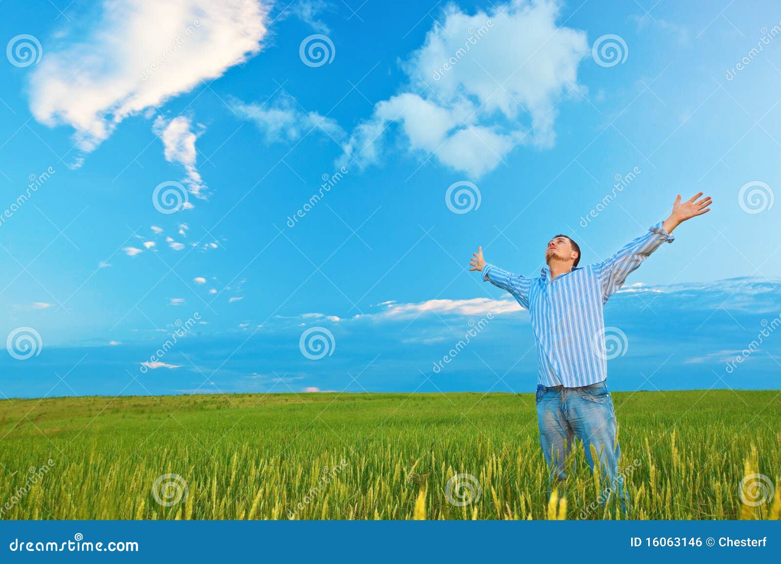 Young man on filed stock photo. Image of grass, orange - 16063146