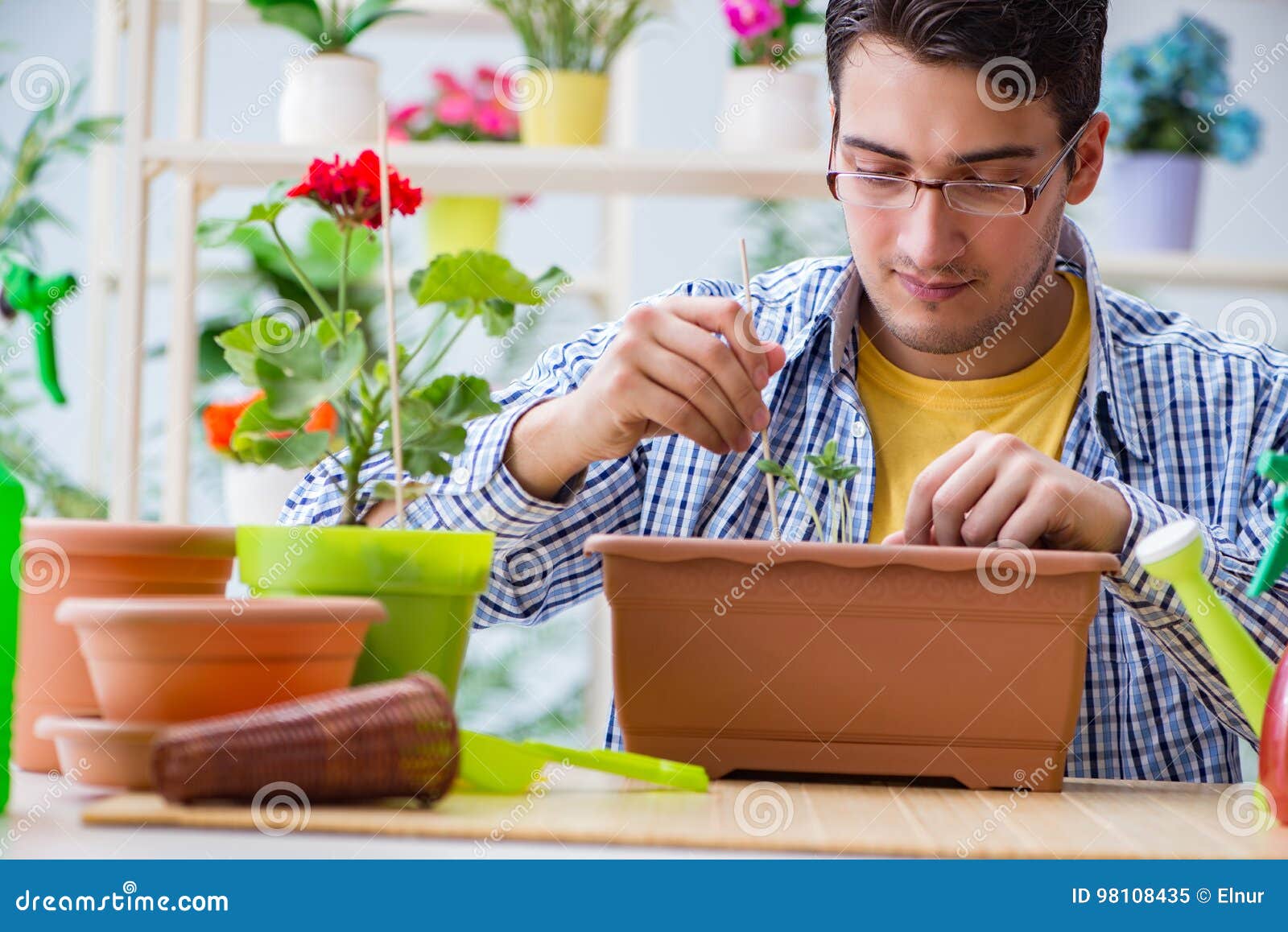 The Young Man Florist Working in a Flower Shop Stock Image - Image of ...