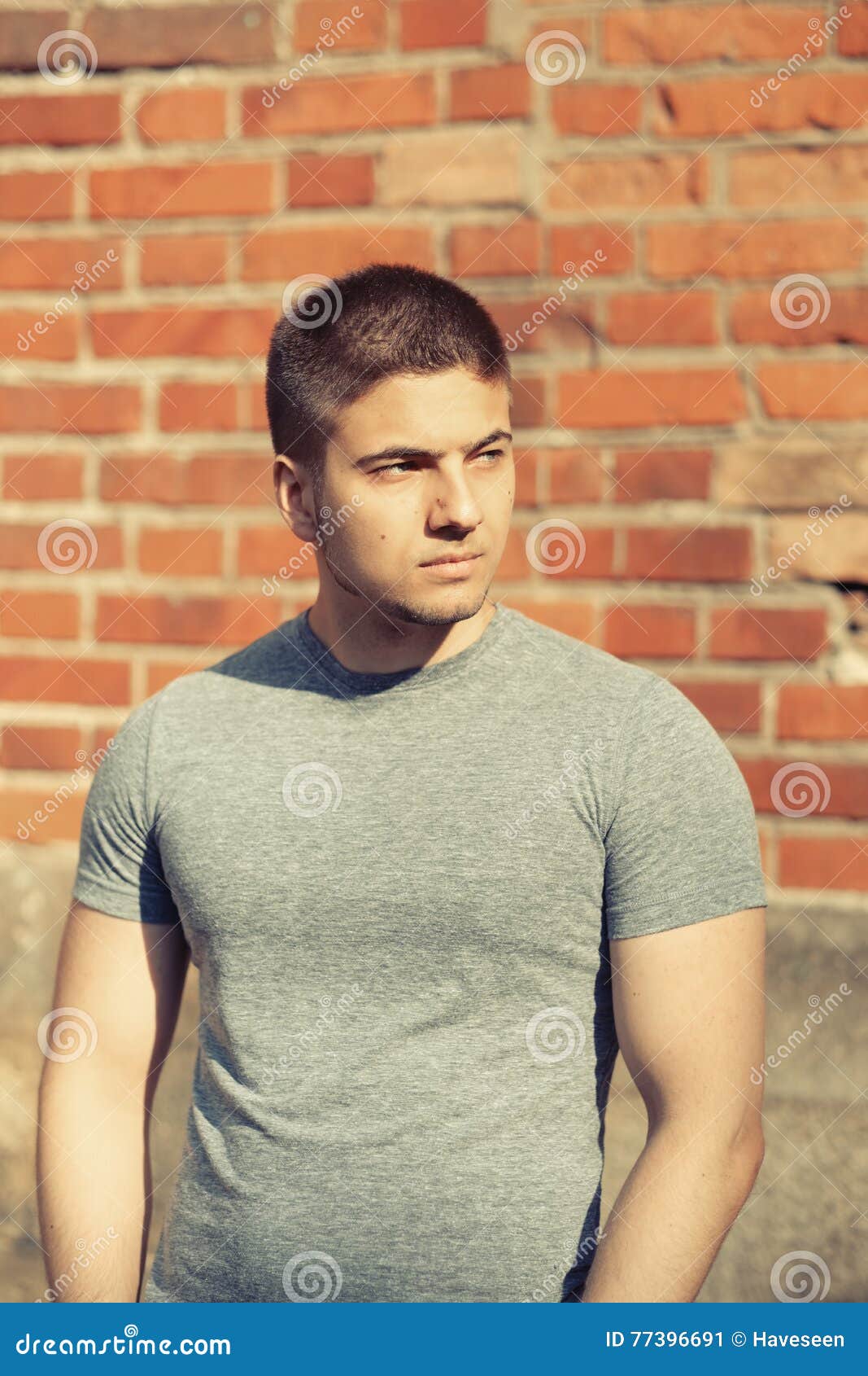 Young Man in Front of Brick Wall Stock Image - Image of model, shirt ...