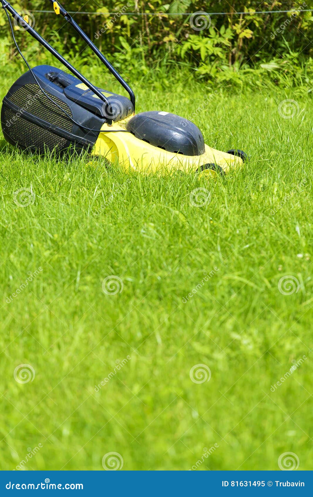 Young Man Gardener Using Lawn Mower Stock Image - Image of landscaped ...
